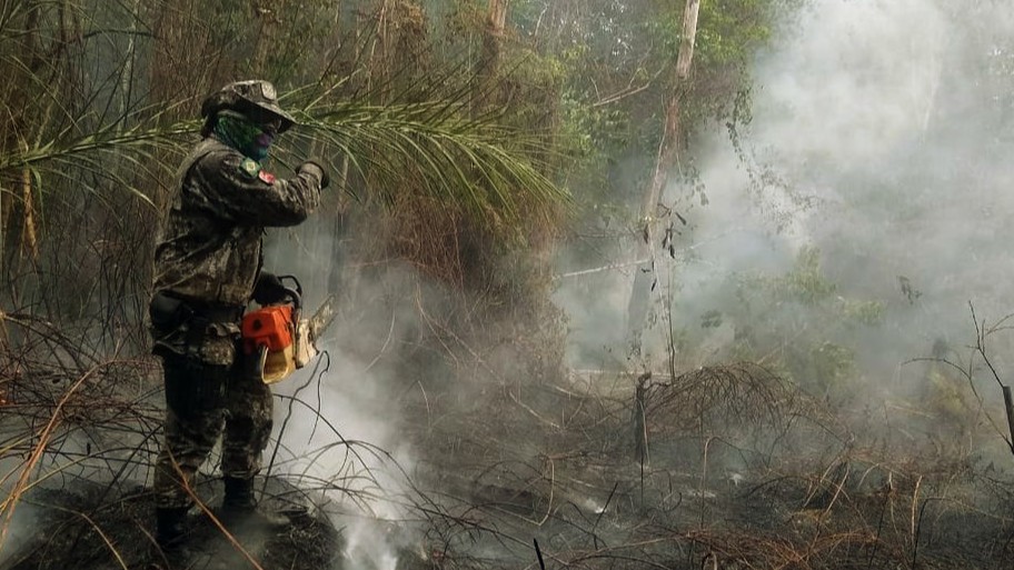 What are the threats behind the militarization of the fight against ...